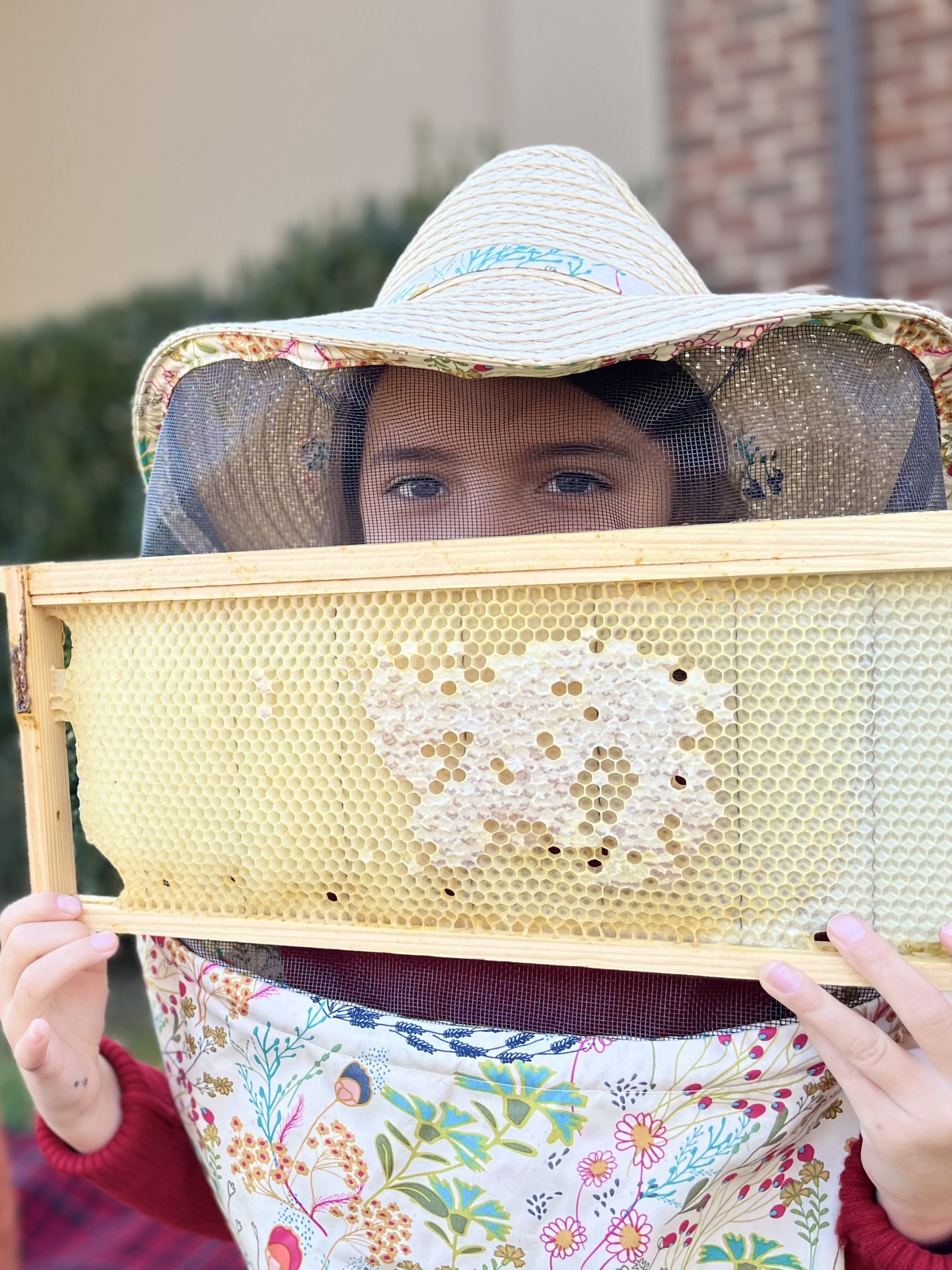 Bees Are Friends: - Backyard Beekeeping